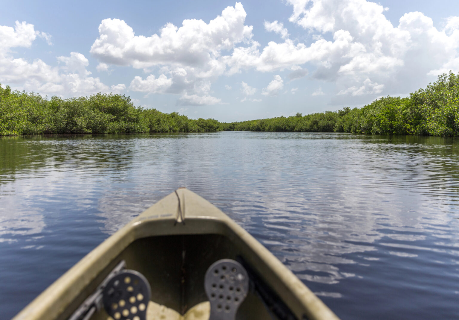 Wildlife and Ecotourism - Matanzas Inn